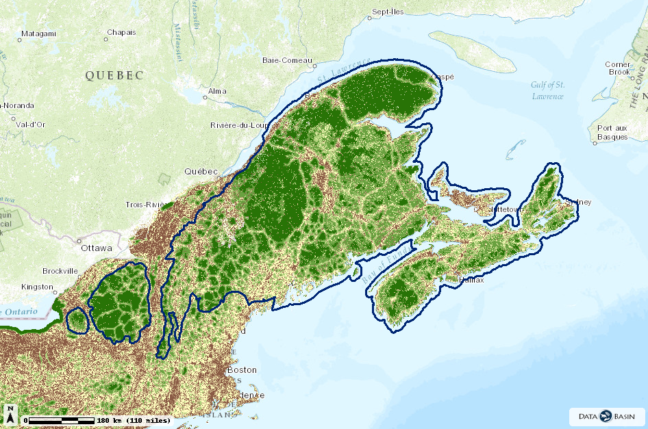 Data Basin – Two Countries, One Forest